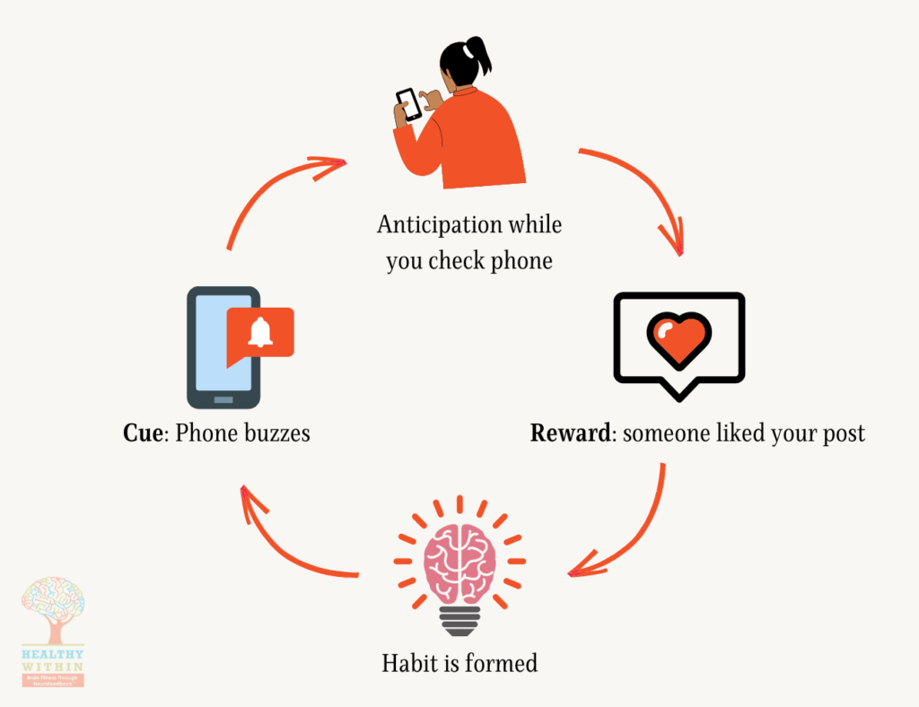 The Teen Brain-Smartphone & Social Media Addictions | Healthy Within